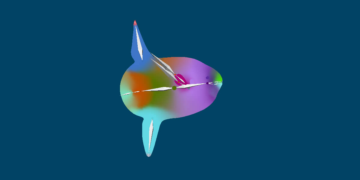 Ocean Sunfish Mola - 3D Model by Nyilonelycompany