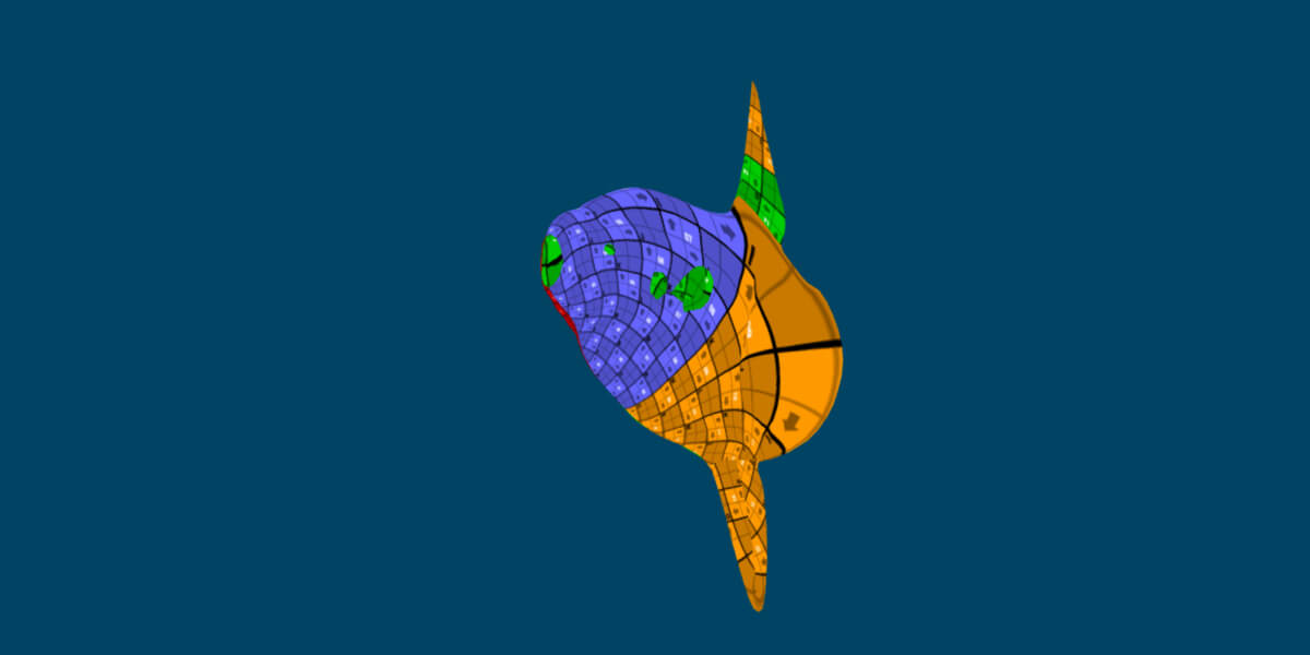Ocean Sunfish Mola - 3D Model by Nyilonelycompany