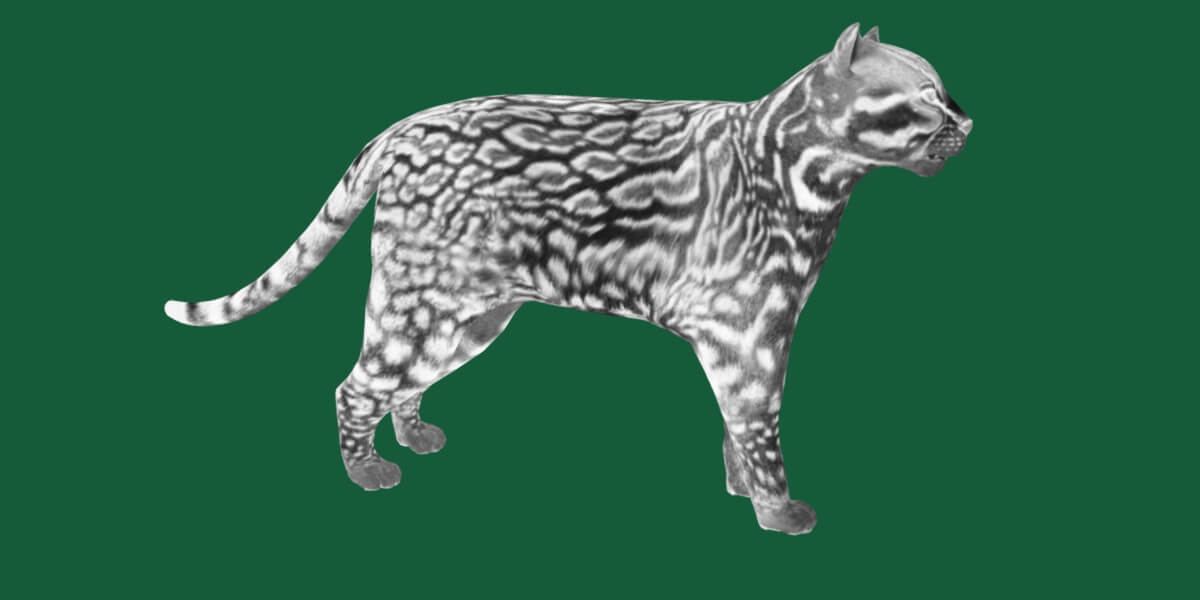 Ocelot Wild Cat - 3D Model by Nyilonelycompany