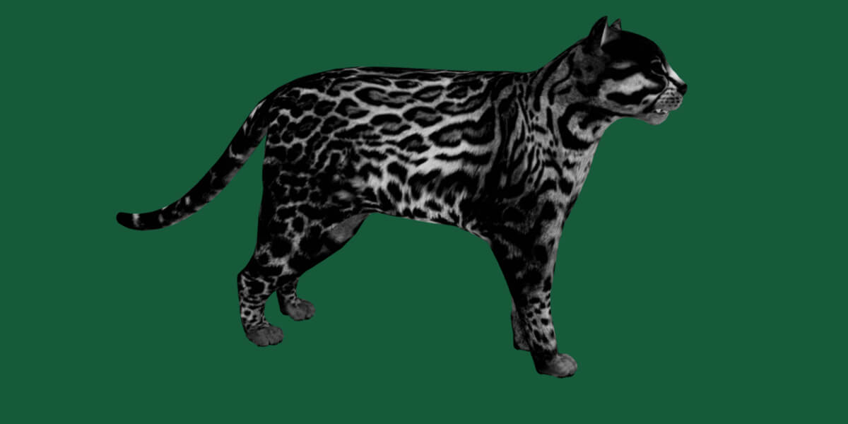 Ocelot Wild Cat - 3D Model by Nyilonelycompany