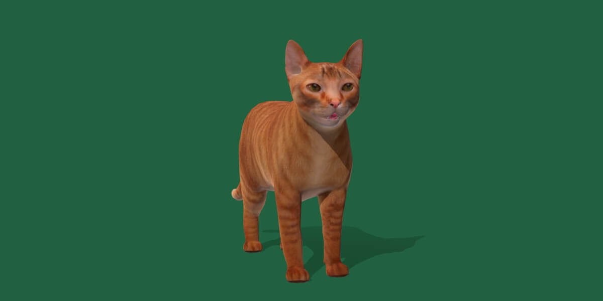 Orange Tabby Cat - 3D Model by Nyilonelycompany