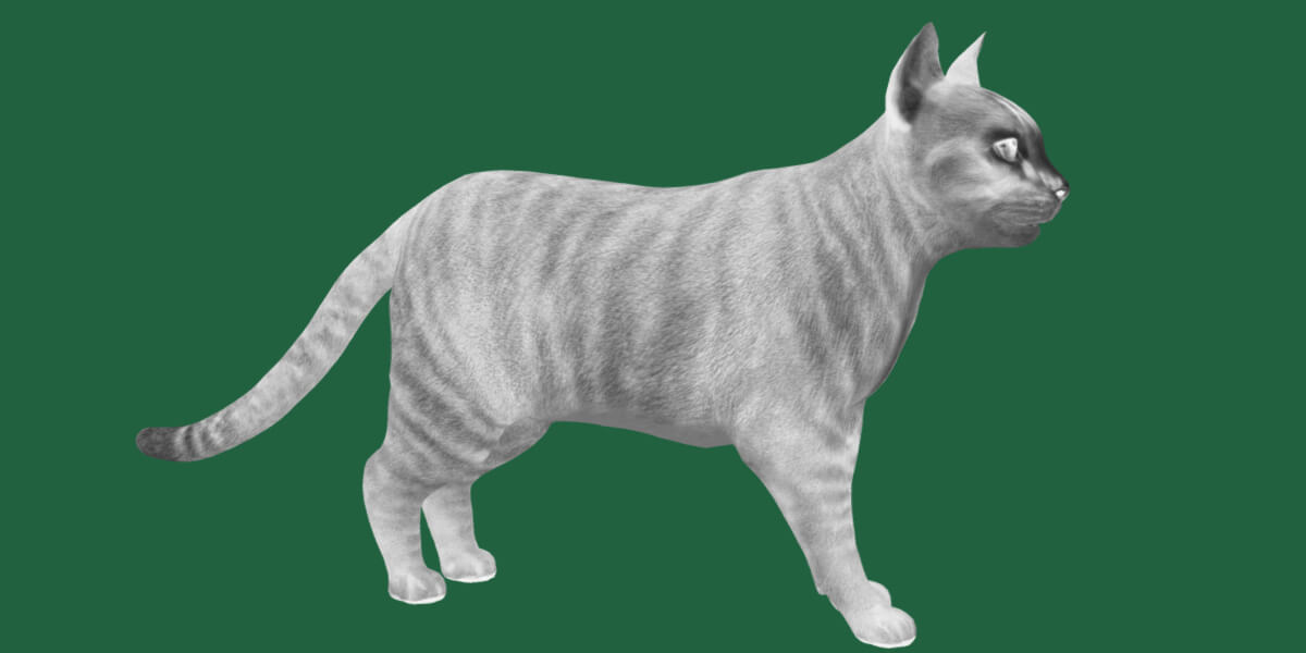 Orange Tabby Cat - 3D Model by Nyilonelycompany