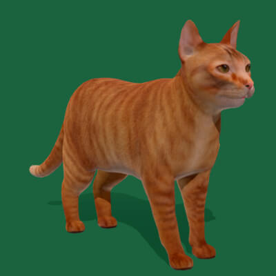 Gltf 3D Models | Animals | Cats | RenderHub