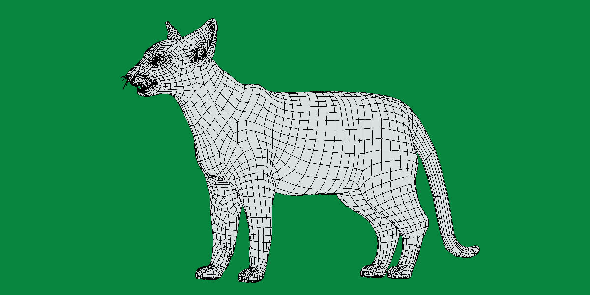 Oriental Longhair Cat - 3D Model by Nyilonelycompany