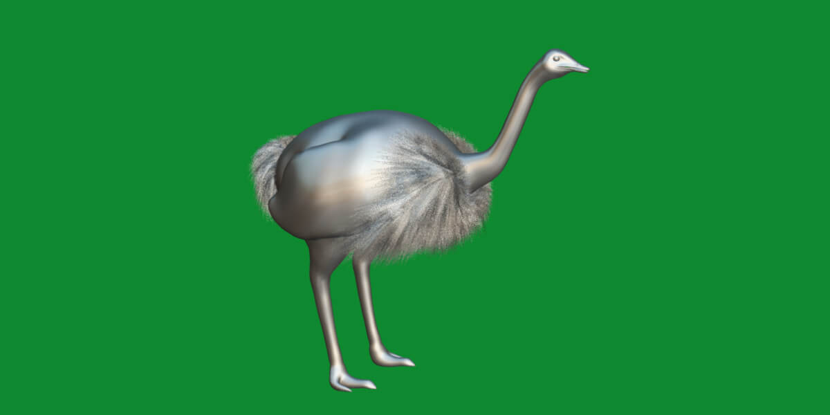 Ostrich Large Bird - 3D Model by Nyilonelycompany