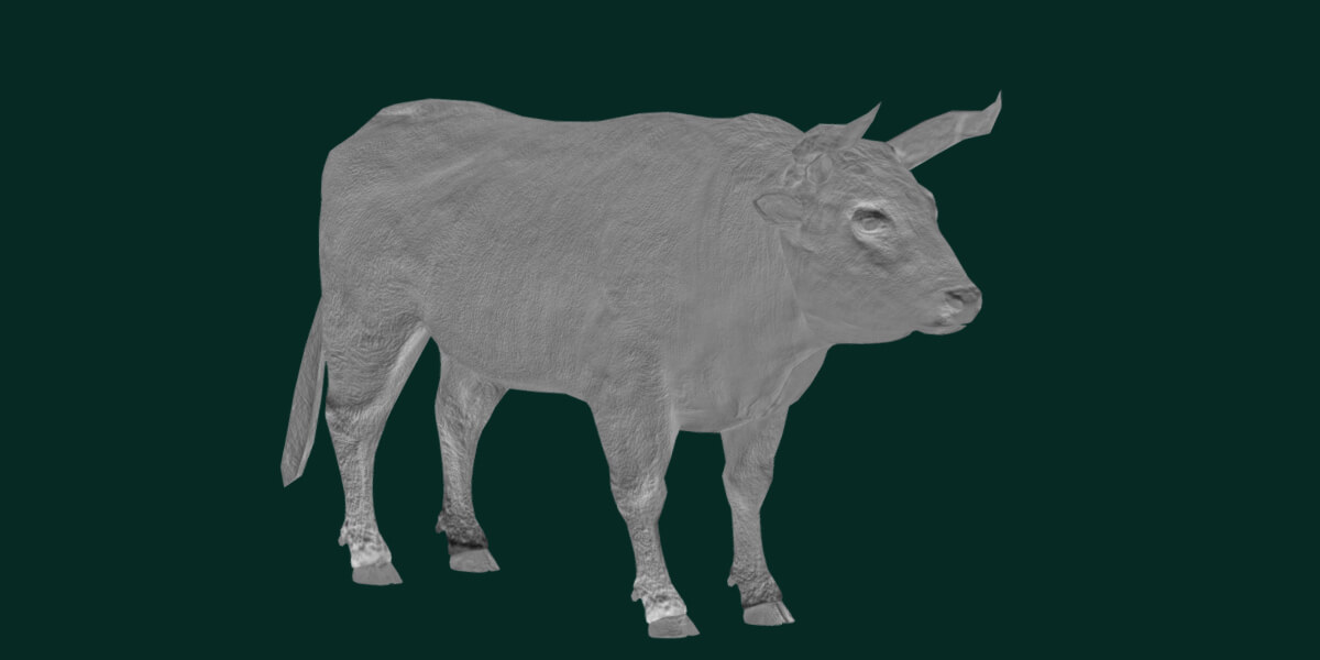 Oxen Bull Mammal Animal - 3D Model by Nyilonelycompany