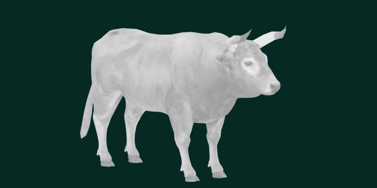Oxen Bull Mammal Animal - 3D Model by Nyilonelycompany