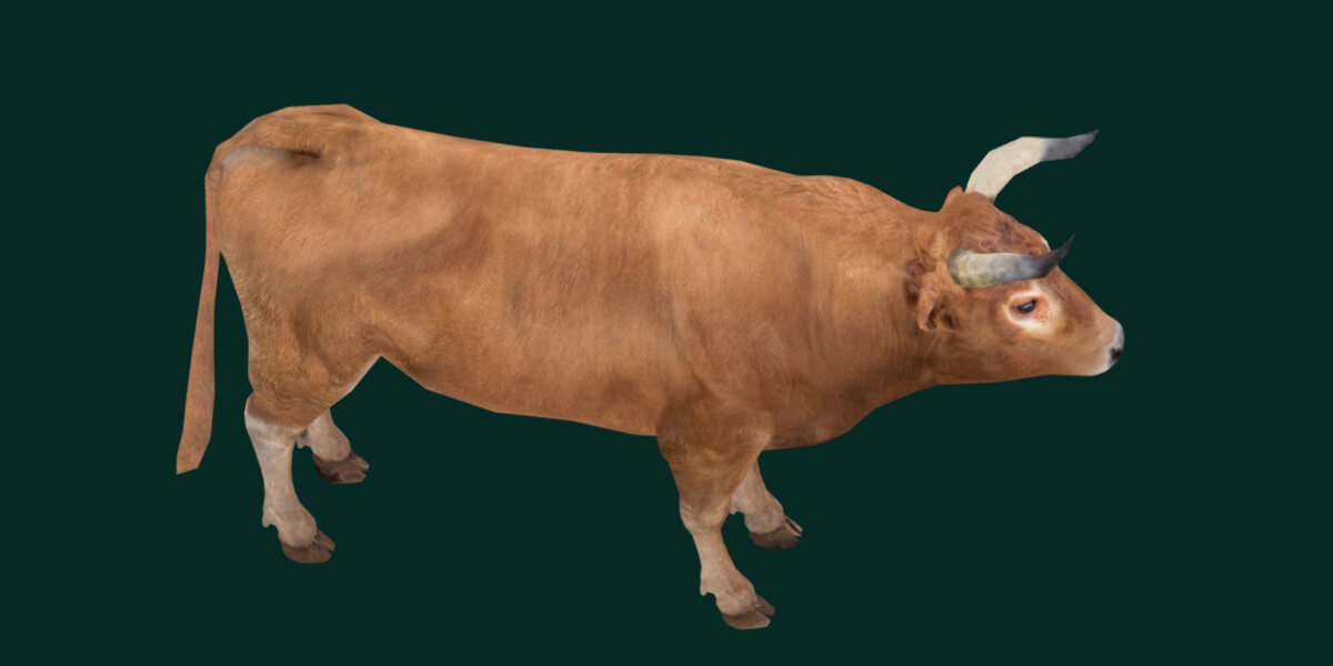 Oxen Bull Mammal Animal - 3D Model by Nyilonelycompany