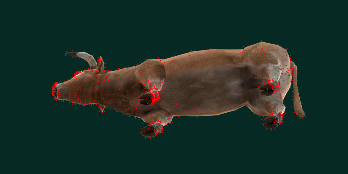 Oxen Bull Mammal Animal - 3D Model by Nyilonelycompany