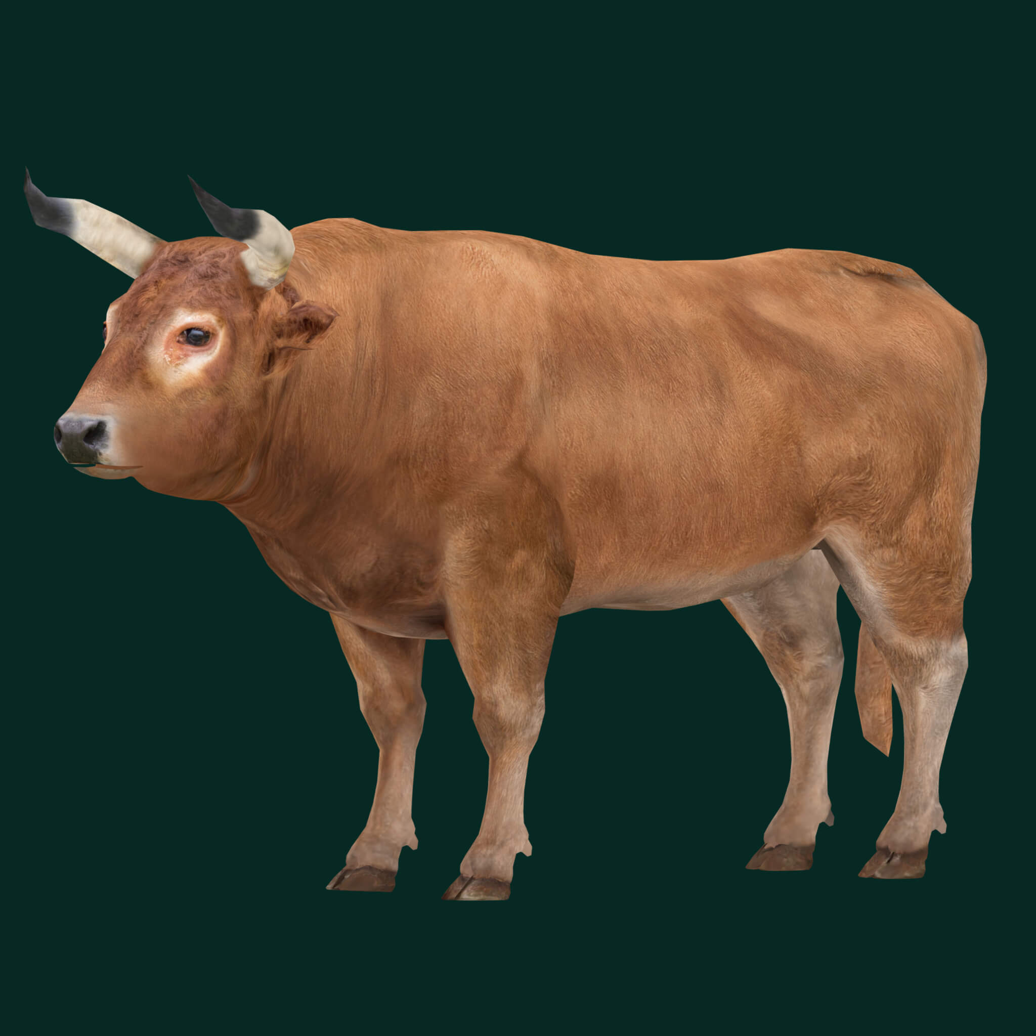 Oxen Bull Mammal Animal - 3D Model by Nyilonelycompany