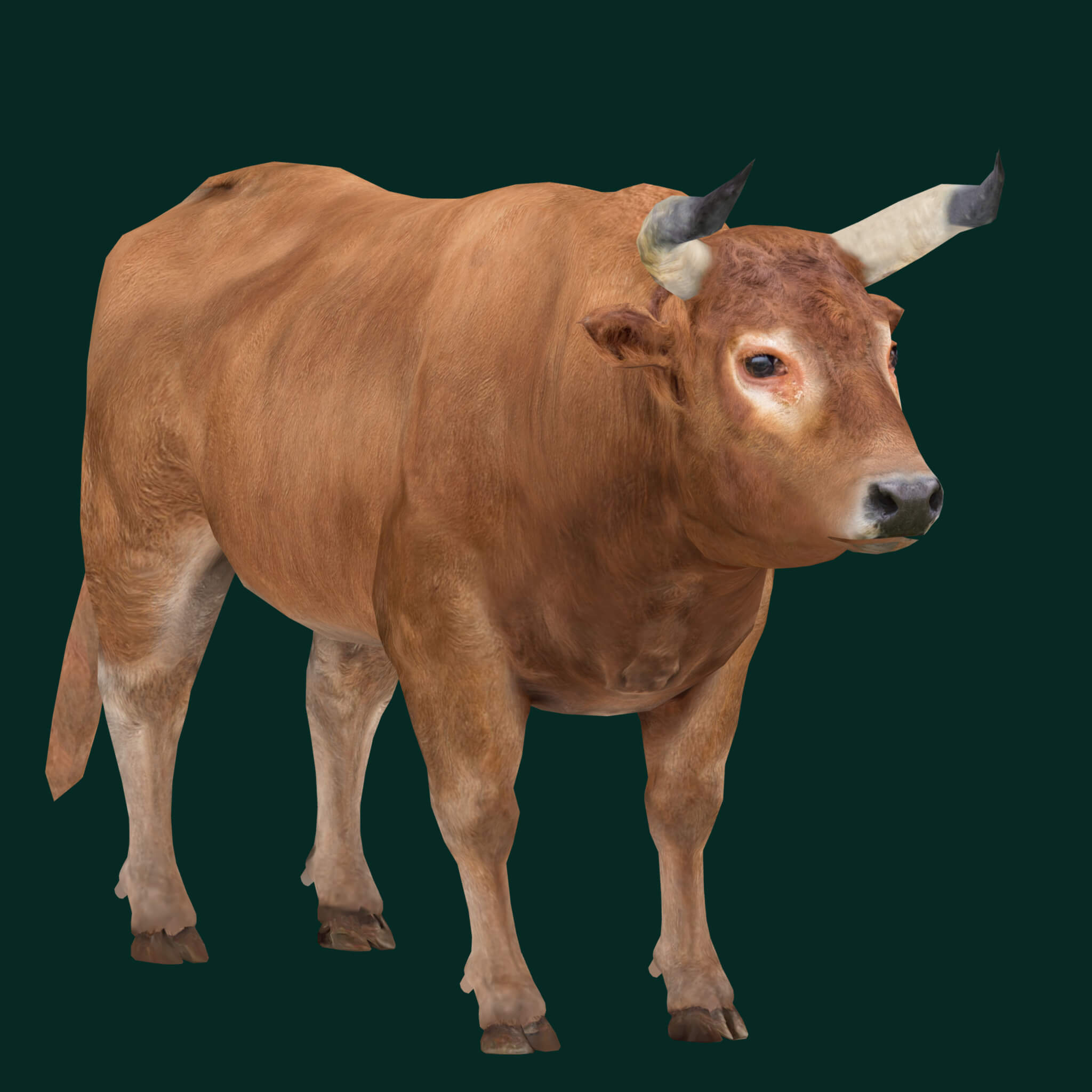 Oxen Bull Mammal Animal - 3D Model by Nyilonelycompany