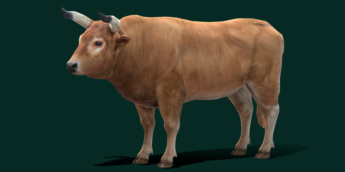Oxen Bull Mammal Animal - 3D Model by Nyilonelycompany