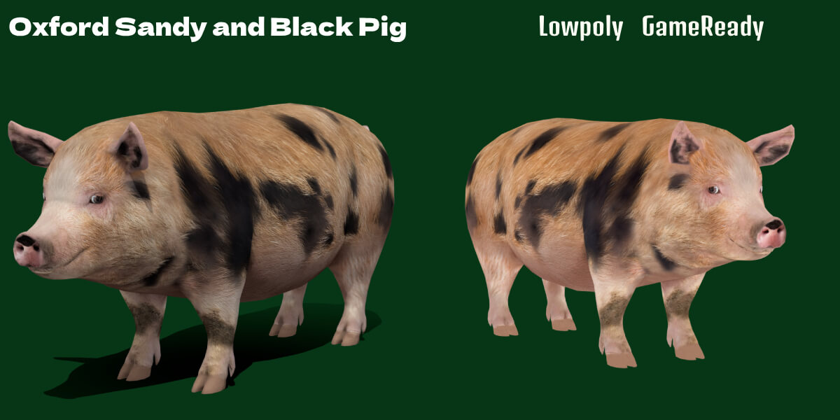 Oxford Sandy Forest Pig - 3D Model by Nyilonelycompany