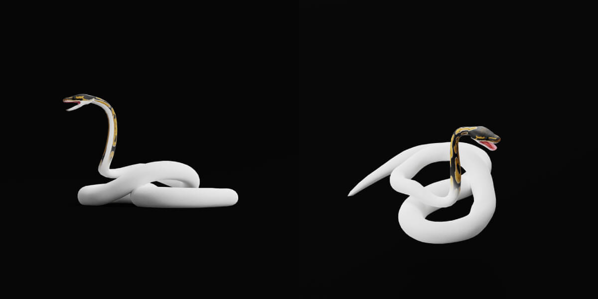 Panda Pied Ball Python - 3D Model by Nyilonelycompany