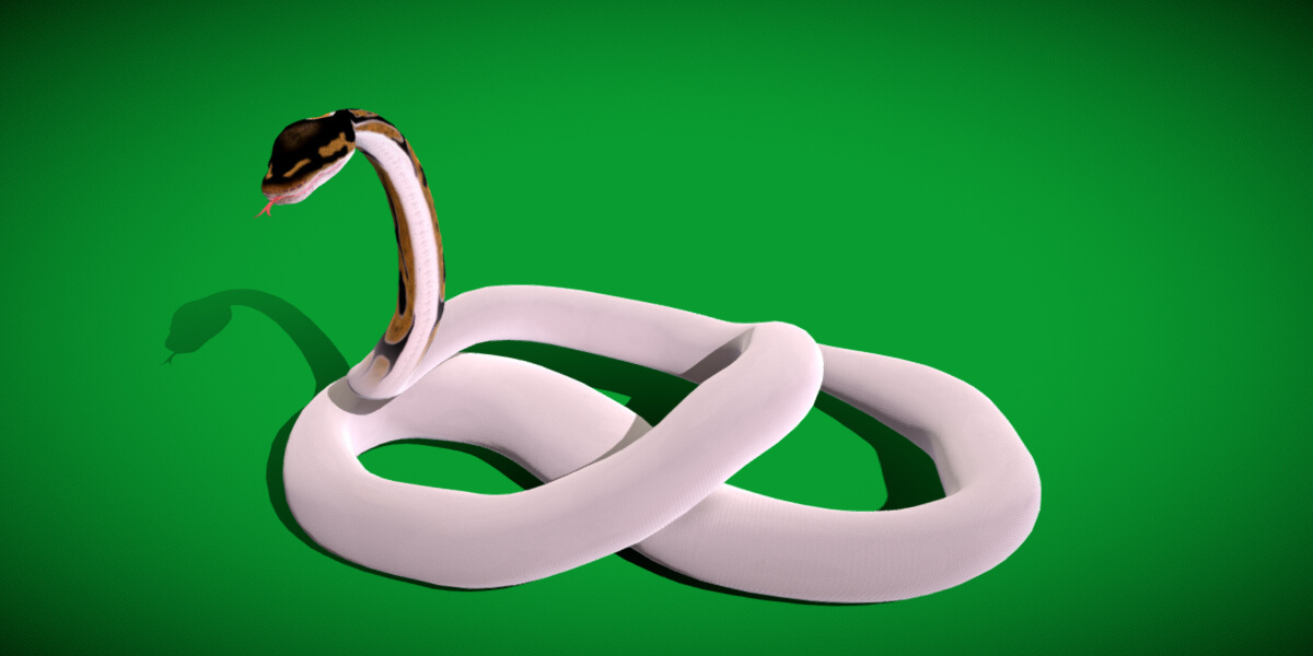 Panda Pied Ball Python - 3D Model by Nyilonelycompany