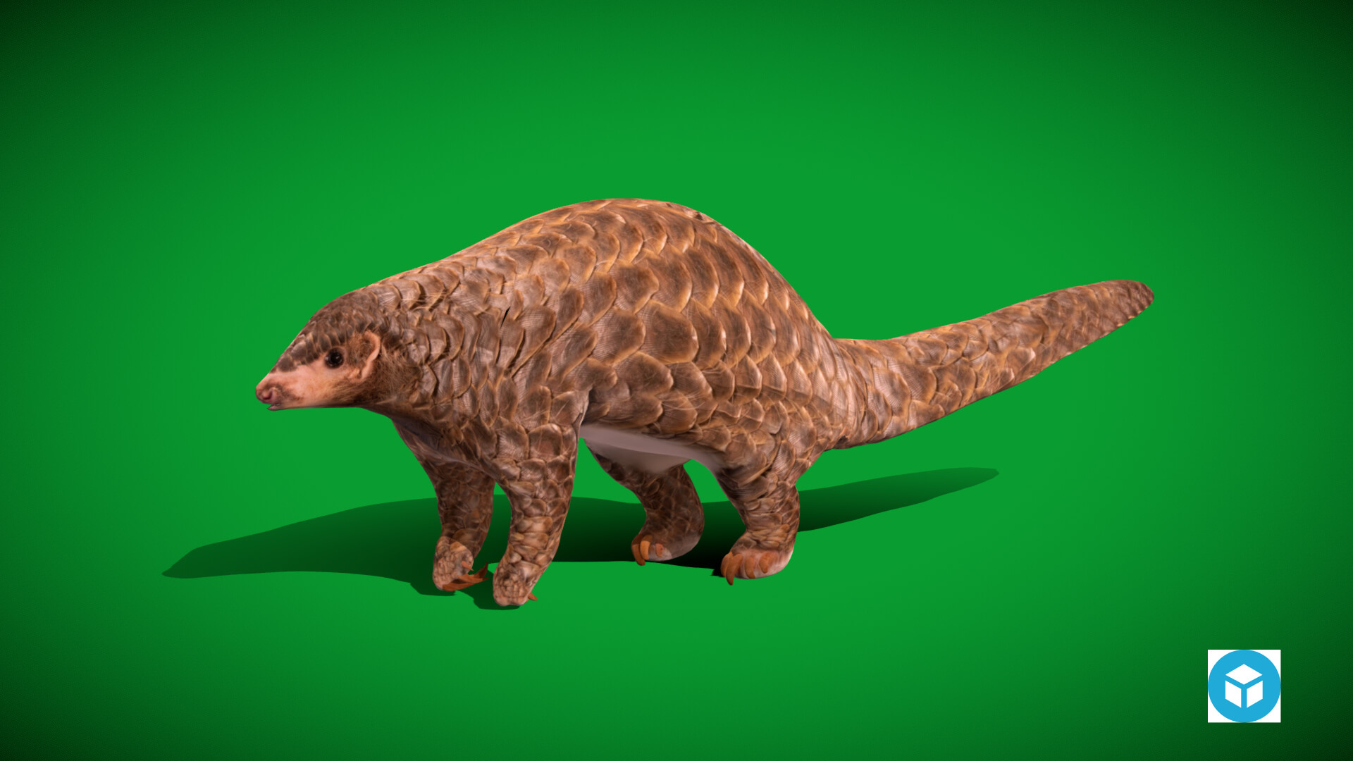 Pangolins Scaly Anteater - 3D Model by Nyilonelycompany