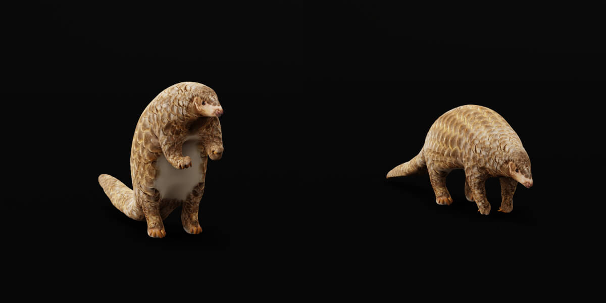 Pangolins Scaly Anteater - 3D Model by Nyilonelycompany