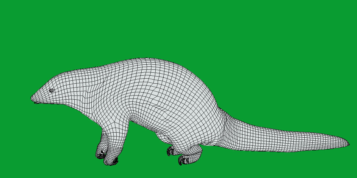 Pangolins Scaly Anteater - 3D Model by Nyilonelycompany