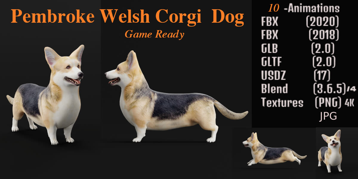 Pembroke Welsh Corgi Dog - 3D Model by Nyilonelycompany