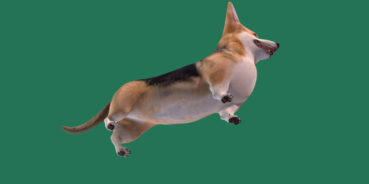 Pembroke Welsh Corgi Dog - 3D Model by Nyilonelycompany