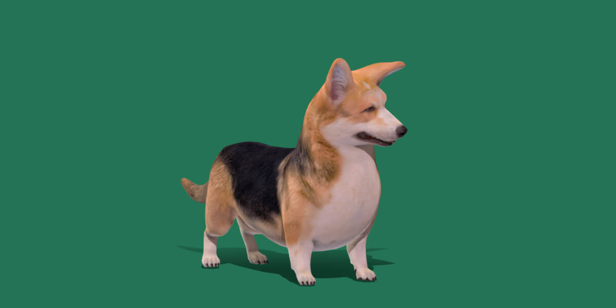 Pembroke Welsh Corgi Dog - 3D Model by Nyilonelycompany