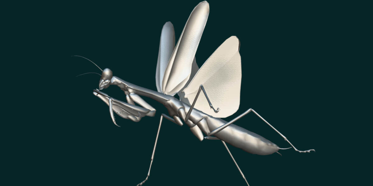 Pink Orchid Mantis Insect - 3D Model by Nyilonelycompany