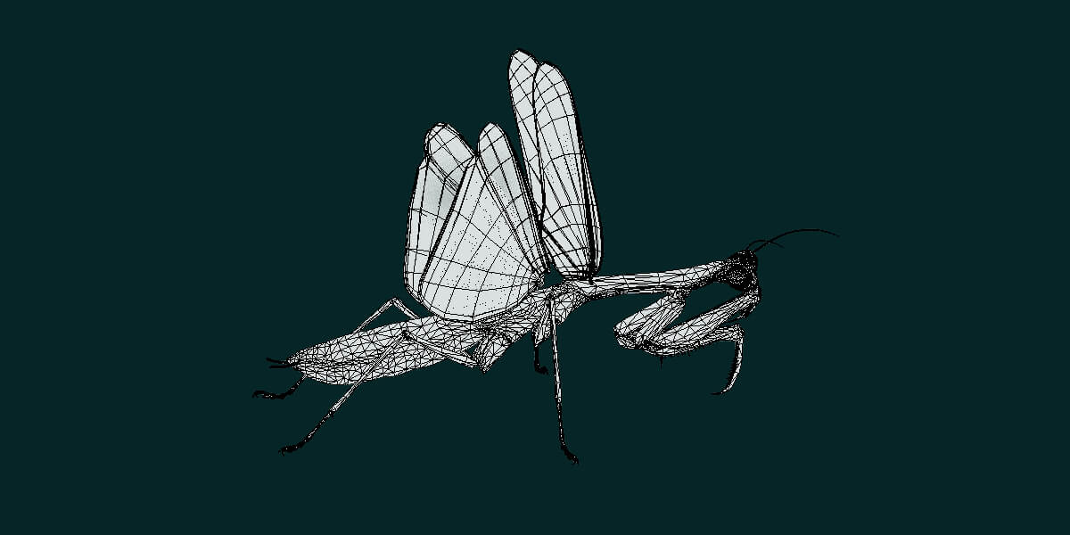 Pink Orchid Mantis Insect - 3D Model by Nyilonelycompany