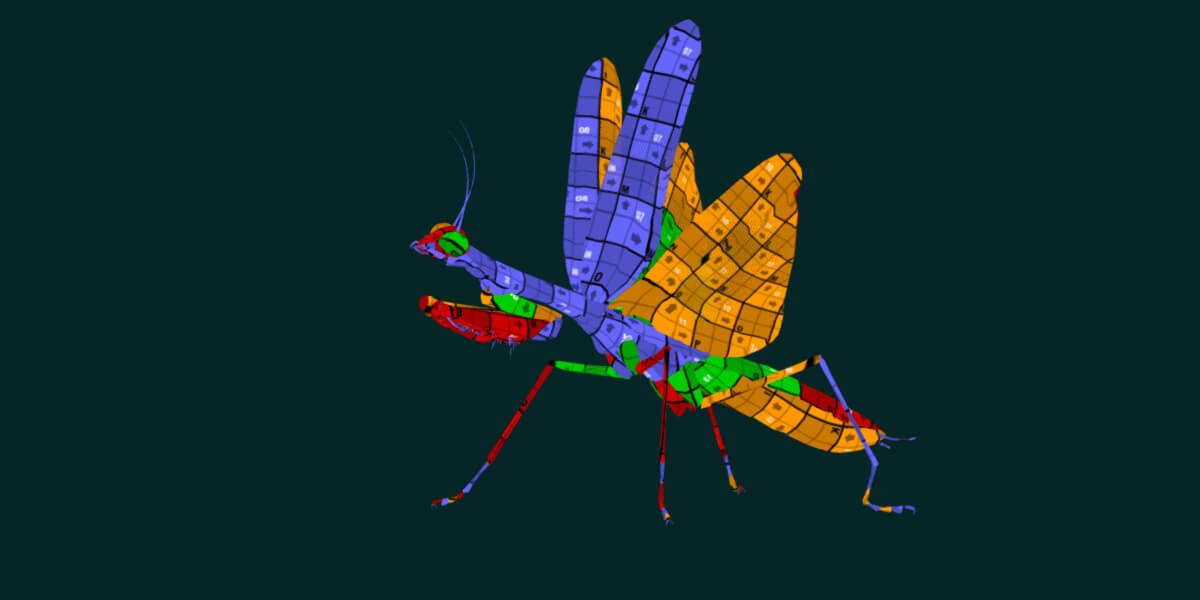 Pink Orchid Mantis Insect - 3D Model by Nyilonelycompany