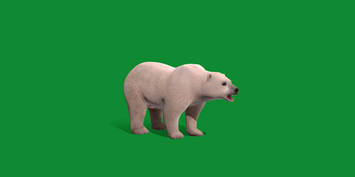 Polar Bear Marine Mammal - 3D Model by Nyilonelycompany