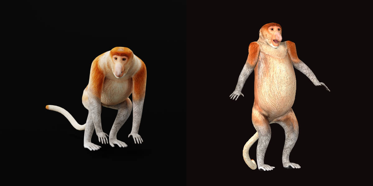 Proboscis Monkey - 3D Model by Nyilonelycompany