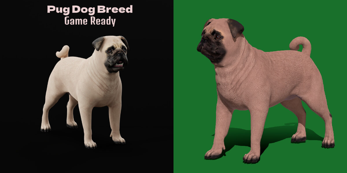 Pug Dog Breed - 3D Model by Nyilonelycompany