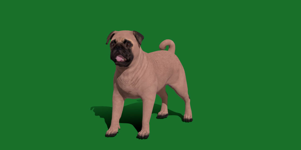 Pug Dog Breed - 3D Model by Nyilonelycompany
