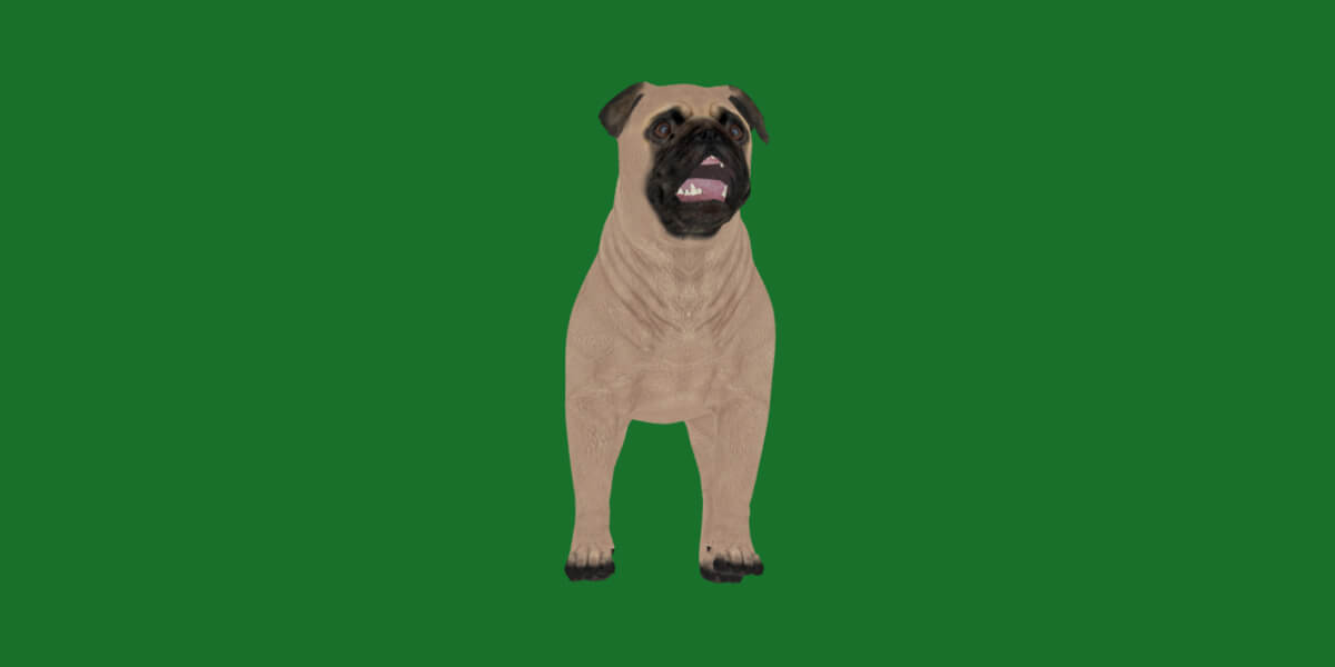 Pug Dog Breed - 3D Model by Nyilonelycompany