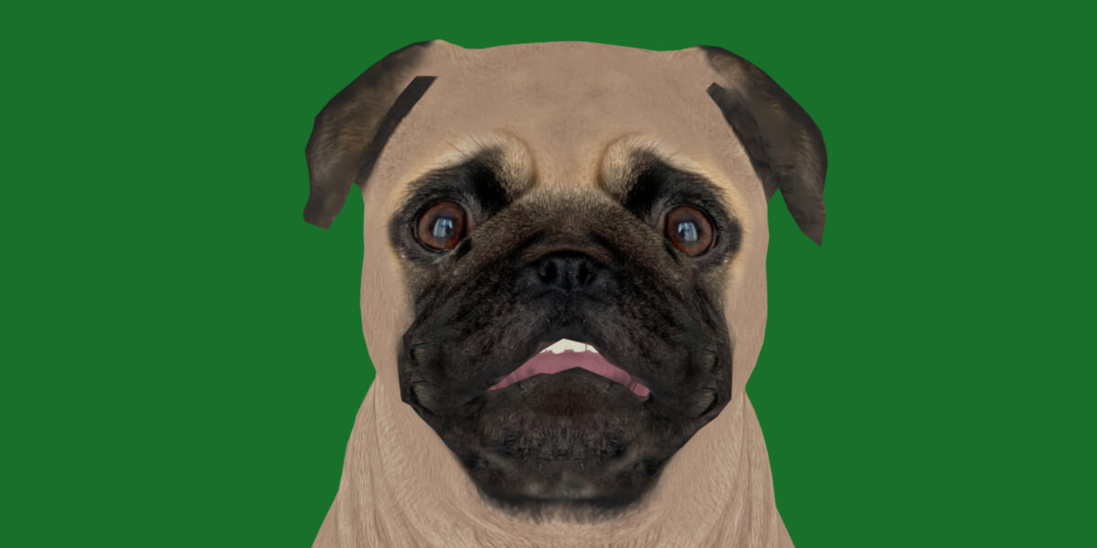 Pug Dog Breed - 3D Model by Nyilonelycompany