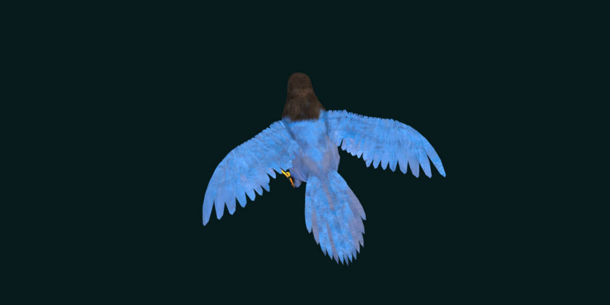 Purplish-Backed Jay Bird 3D Model by Nyilonelycompany