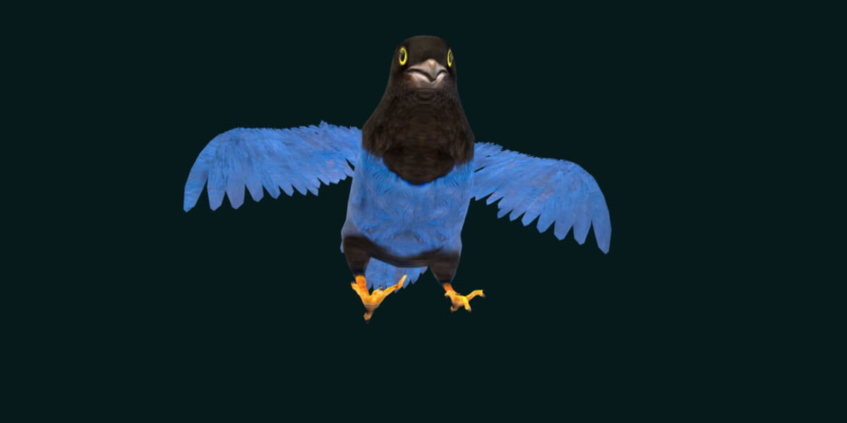 Purplish-Backed Jay Bird 3D Model by Nyilonelycompany