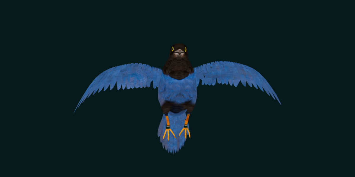 Purplish-Backed Jay Bird 3D Model by Nyilonelycompany