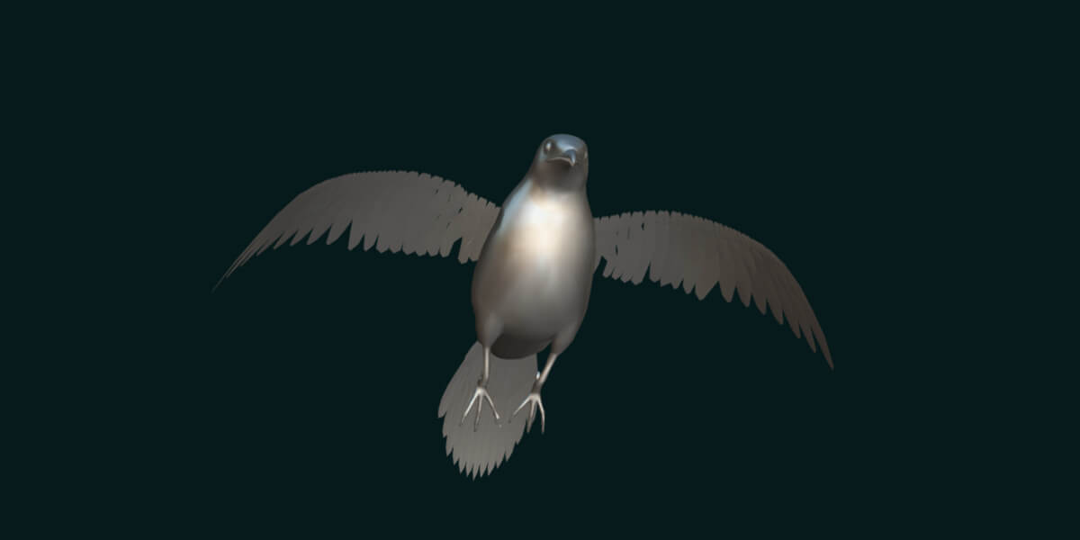 Purplish-Backed Jay Bird 3D Model by Nyilonelycompany