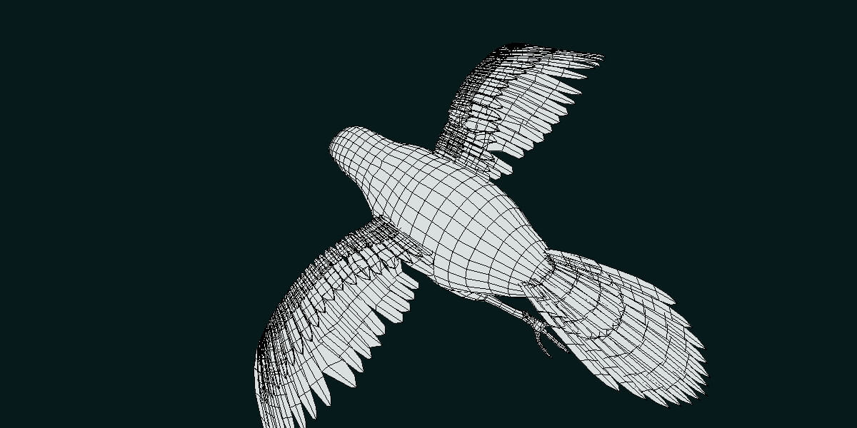 Purplish-Backed Jay Bird 3D Model by Nyilonelycompany
