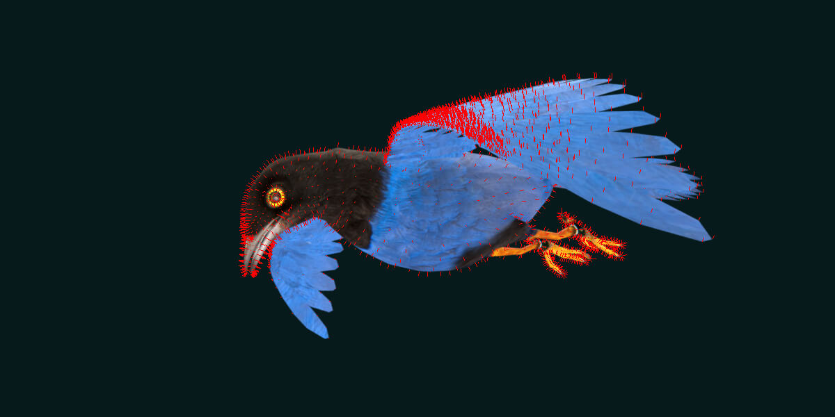 Purplish-Backed Jay Bird 3D Model by Nyilonelycompany