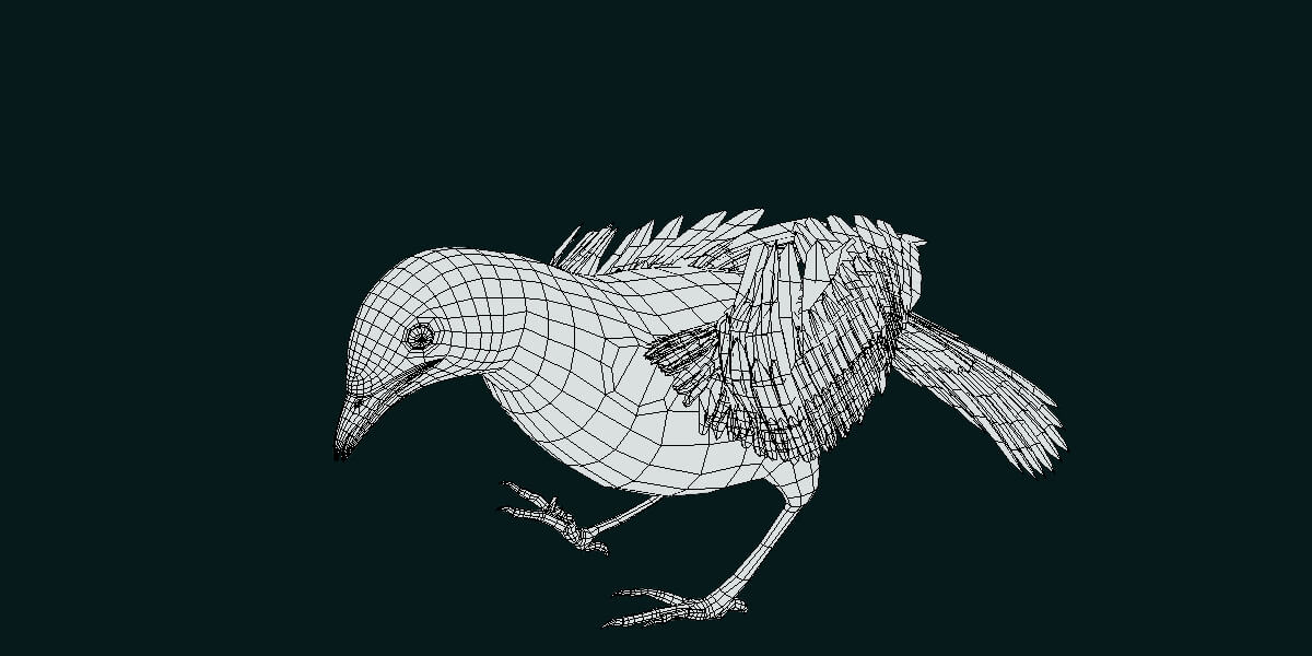 Purplish-Backed Jay Bird 3D Model by Nyilonelycompany