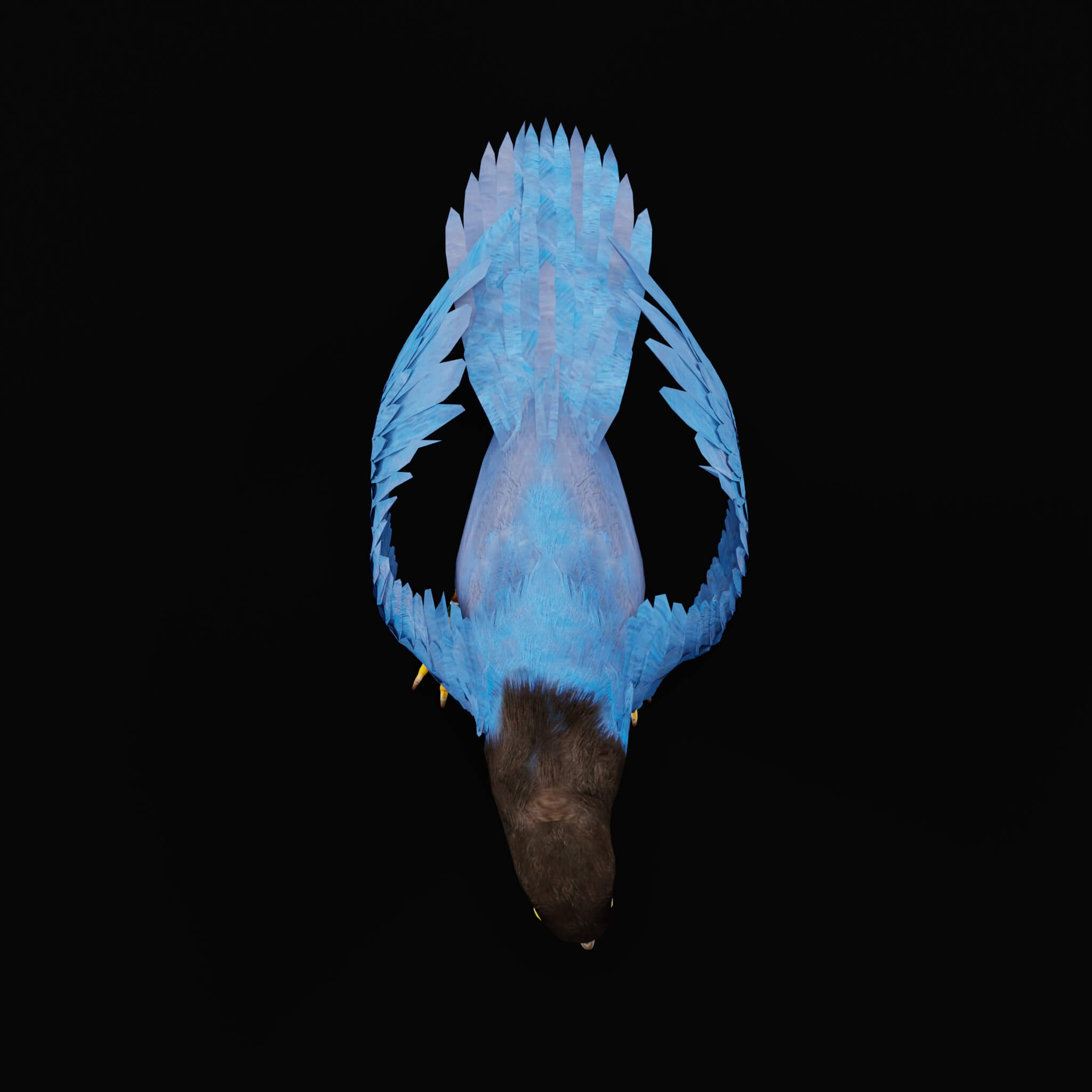 Purplish-Backed Jay Bird 3D Model by Nyilonelycompany