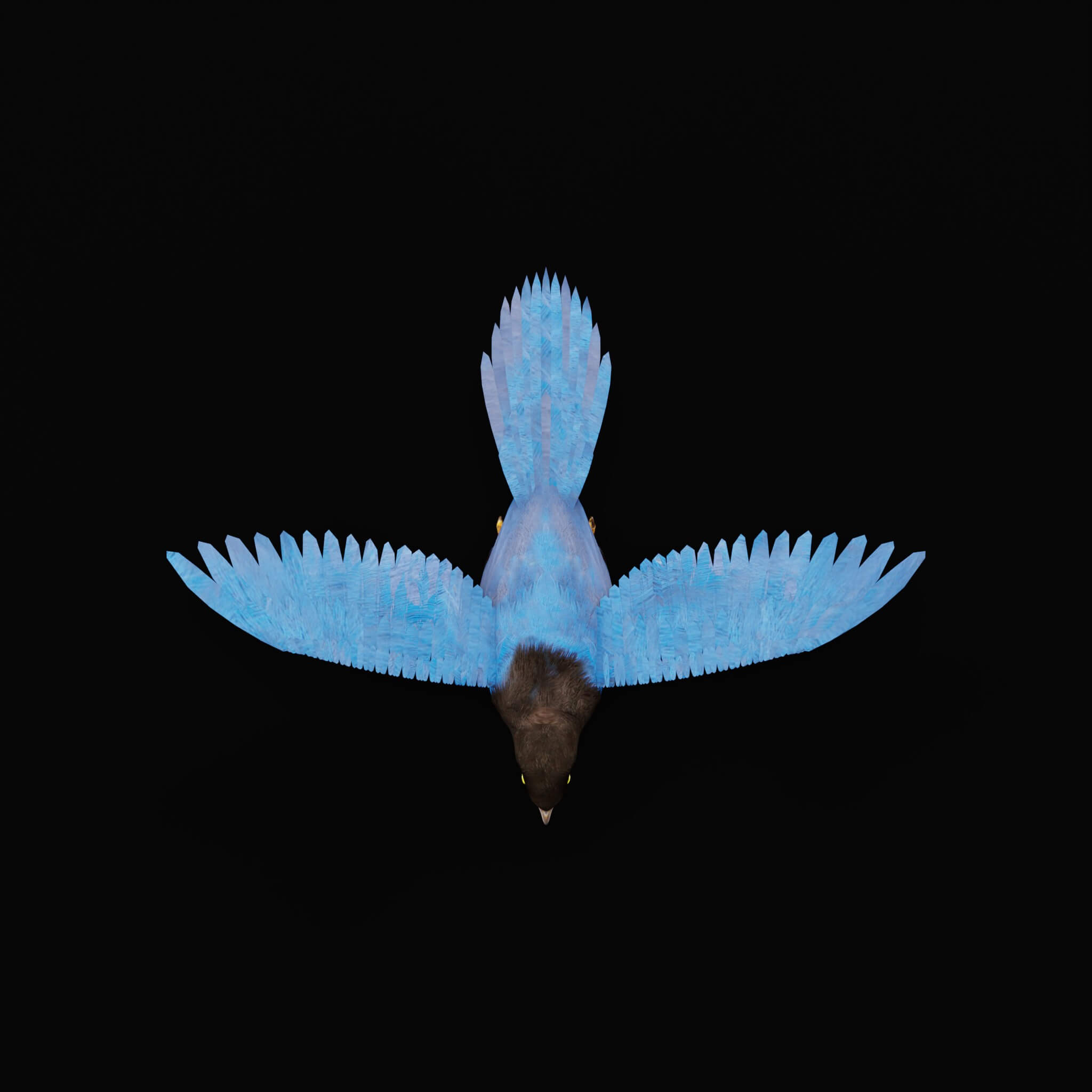 Purplish-Backed Jay Bird 3D Model by Nyilonelycompany