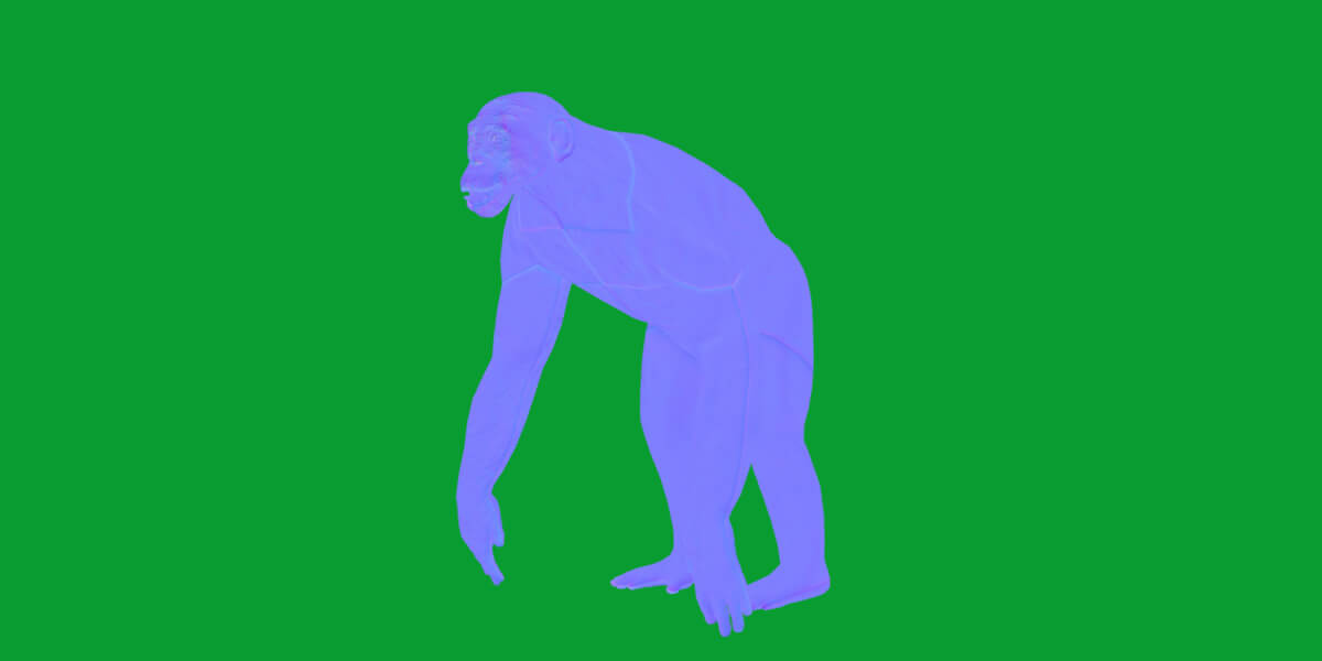 Pygmy Chimpanzee Bonobos Ape - 3D Model by Nyilonelycompany