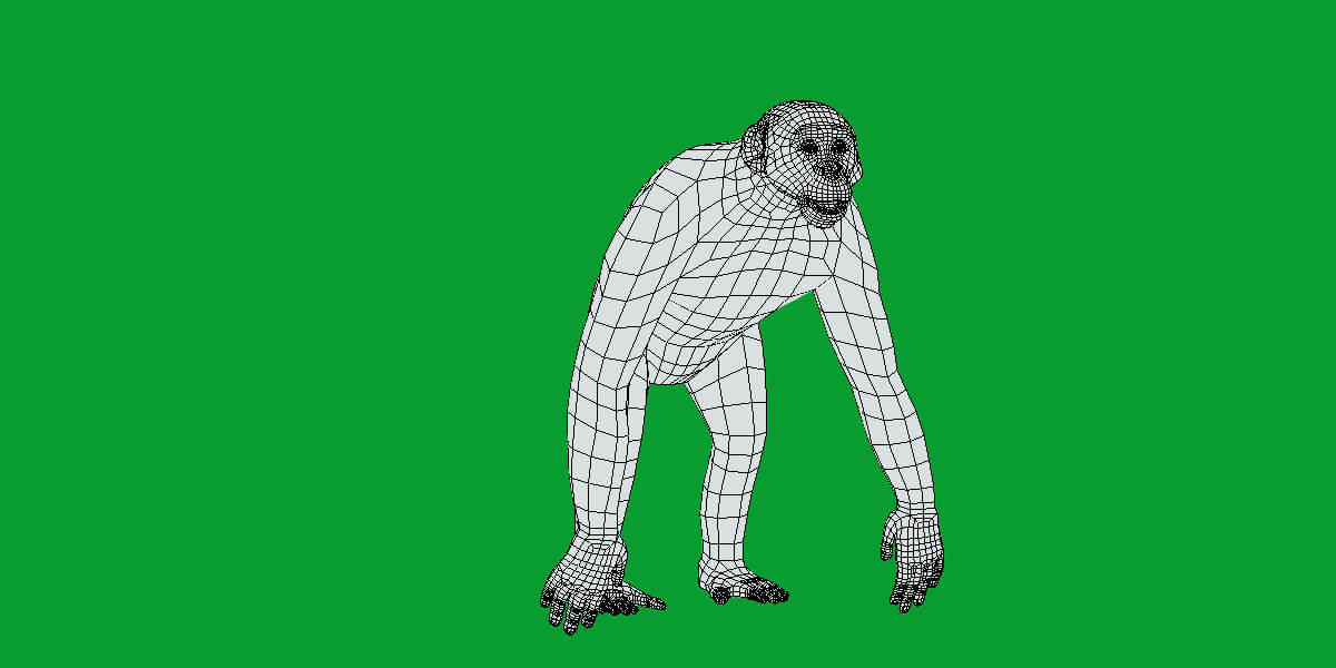 Pygmy Chimpanzee Bonobos Ape - 3D Model by Nyilonelycompany