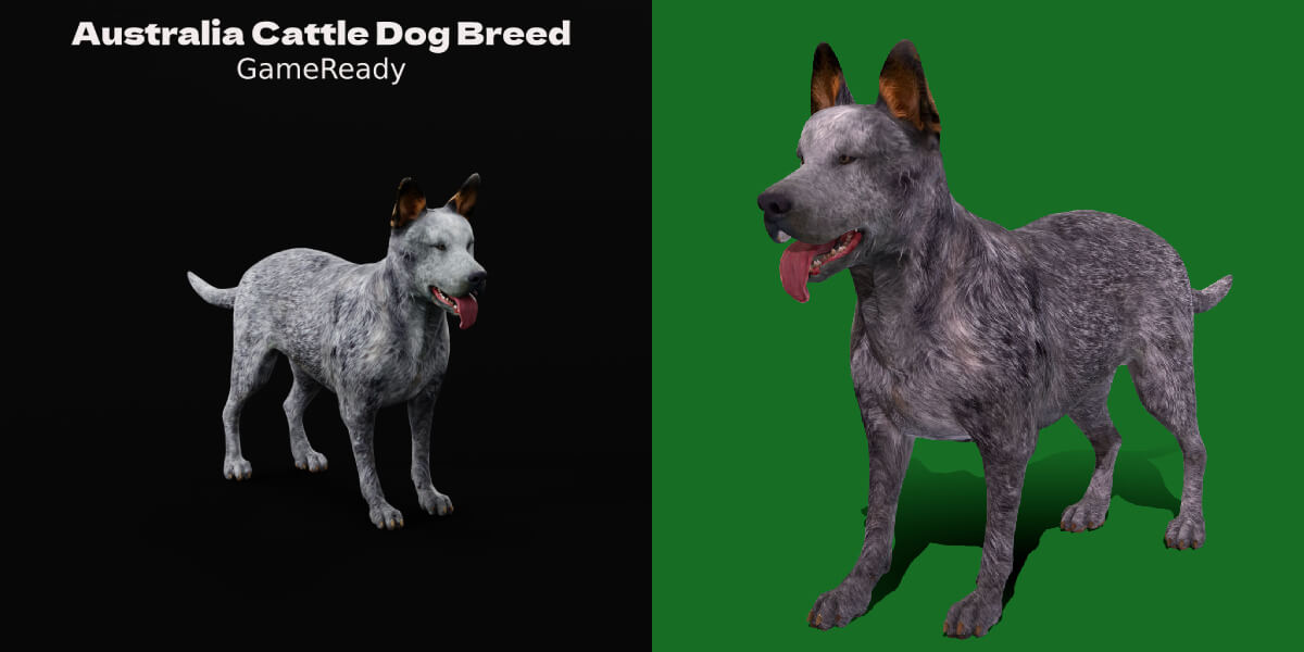 Queensland Heeler Dog Breed - 3D Model by Nyilonelycompany