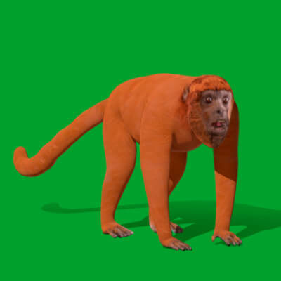 Red Howler Monkey - 3D Model by Nyilonelycompany