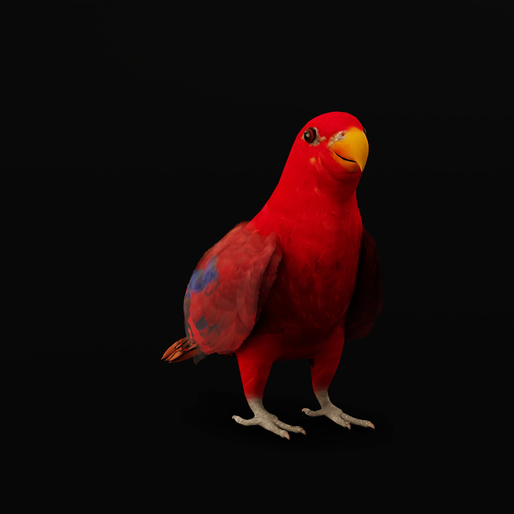 Red Lory Parrot Flamboyant Bird - 3D Model by Nyilonelycompany