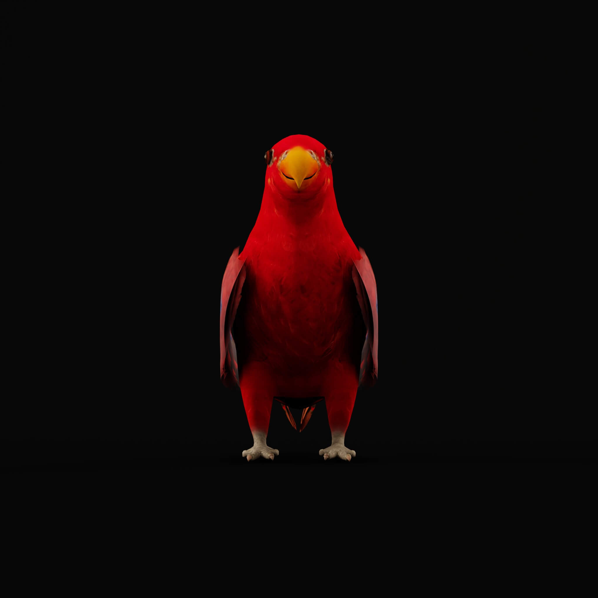 Red Lory Parrot Flamboyant Bird - 3D Model by Nyilonelycompany