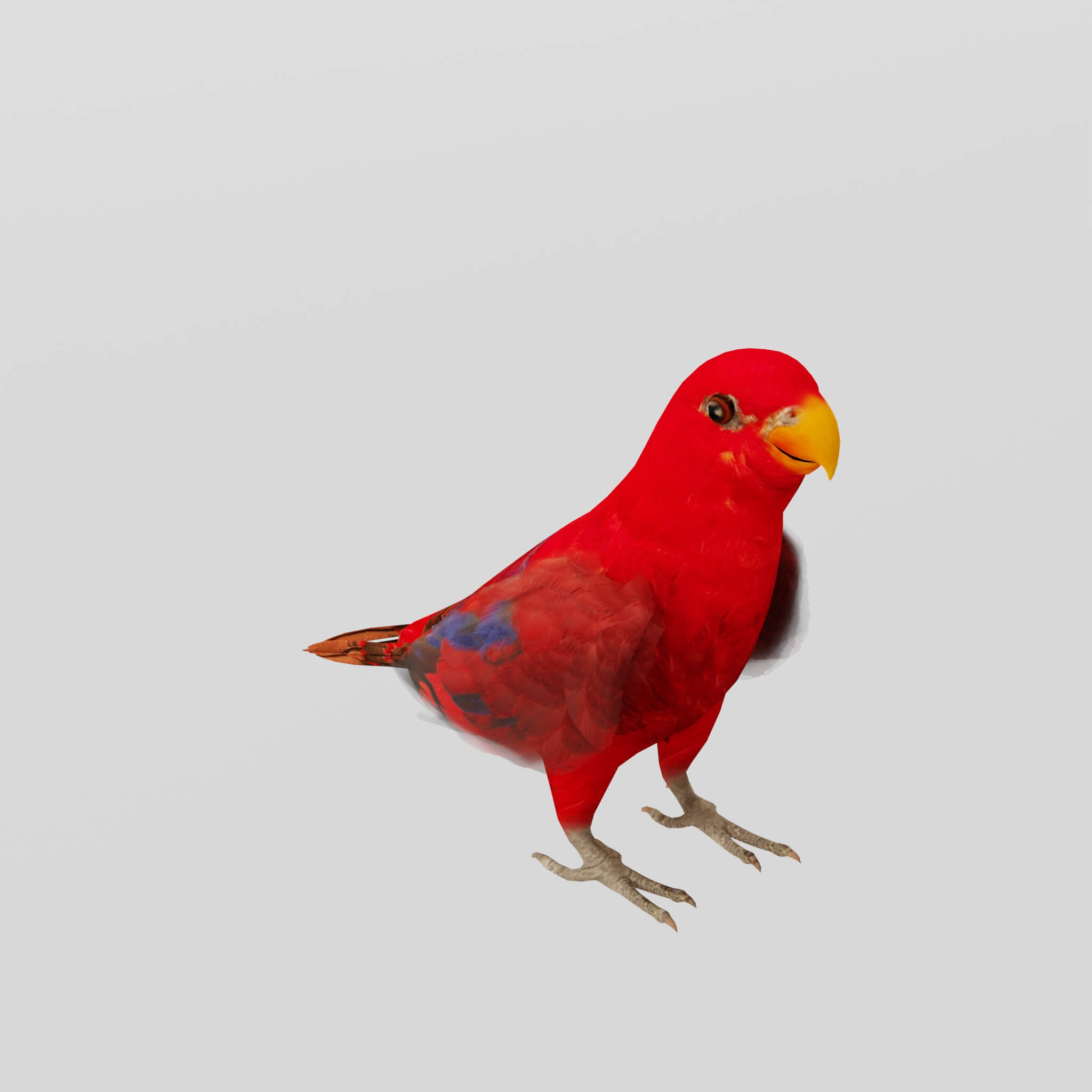 Red Lory Parrot Flamboyant Bird - 3D Model by Nyilonelycompany